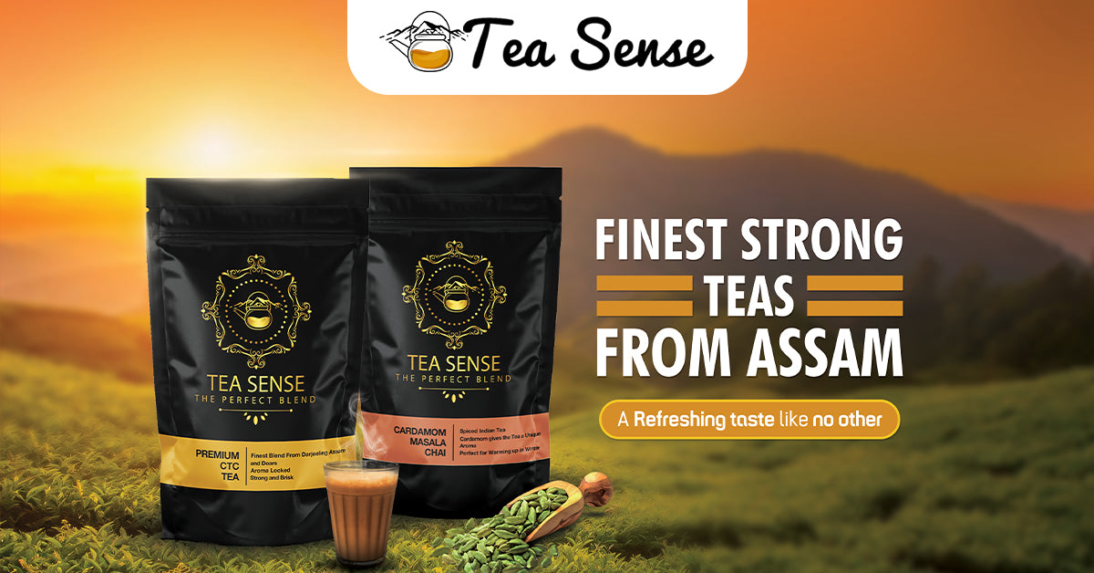 Tea Sense: Best Tea Shop Store in India | India's #1Teas Shop – Tea ...